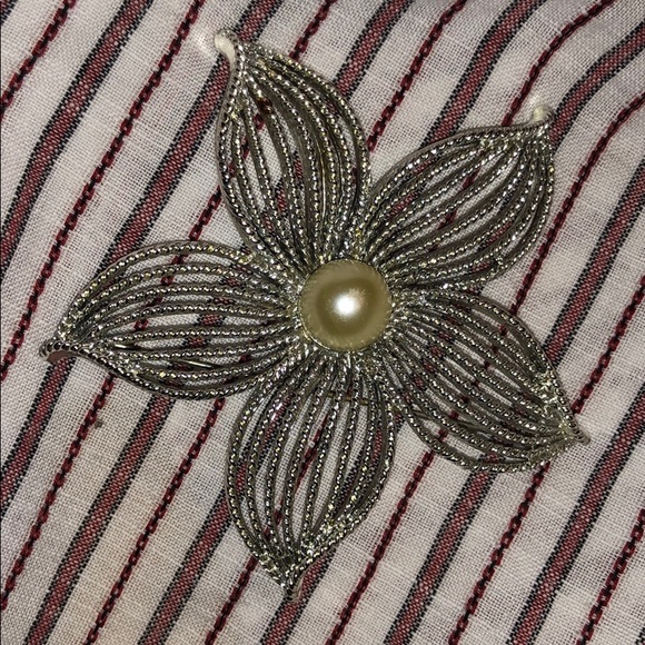 Jewelry | Insanely Beautiful Pin | Poshmark